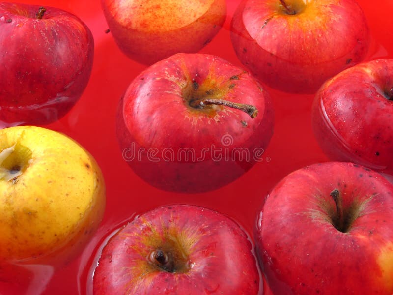 Organic Apples stock photo. Image of nutrition, farm, water - 1575204