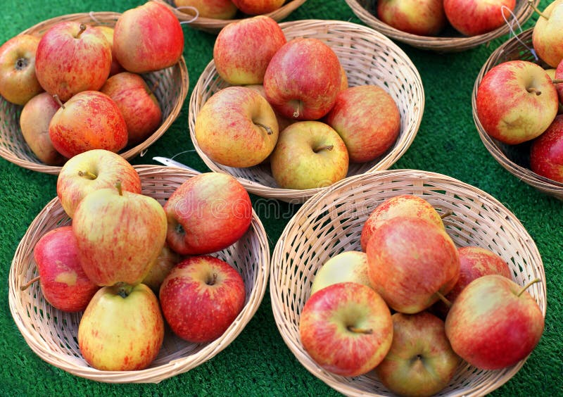 Organic apples stock photo. Image of fruit, yellow, fresh - 33117824