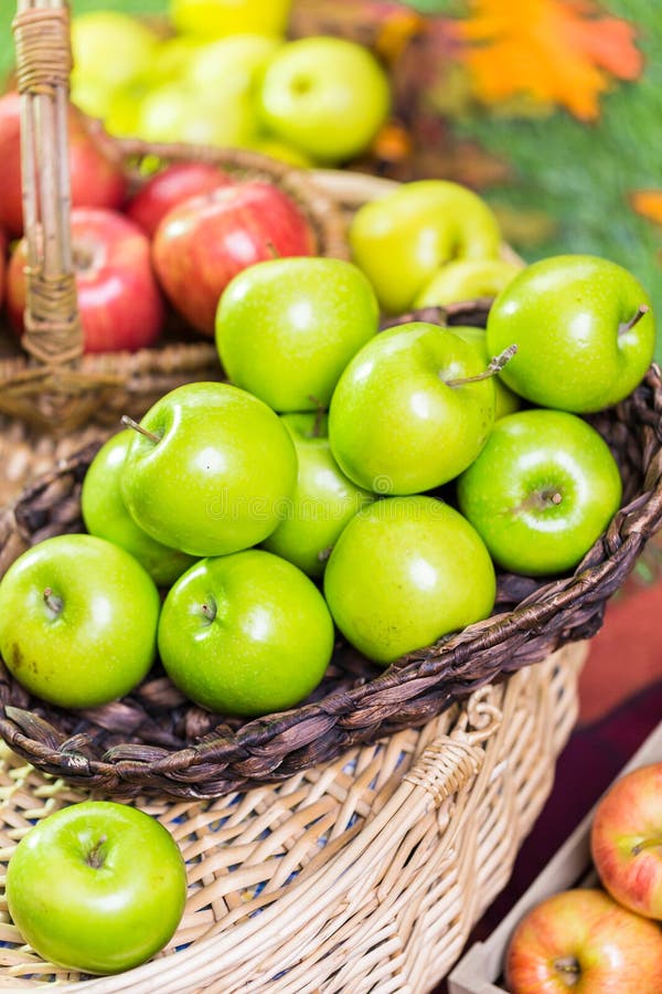 Organic apples stock photo. Image of gold, fall, green - 59571272