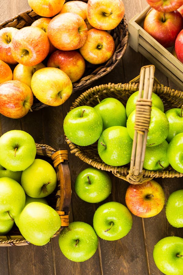 Organic apples stock photo. Image of autumn, gold, fresh - 59450392