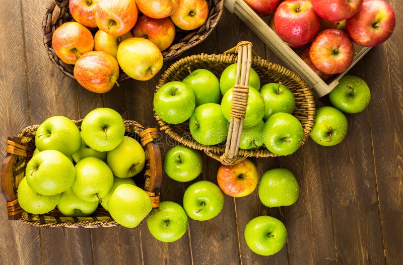 Organic apples stock photo. Image of midium, harvest - 59473234