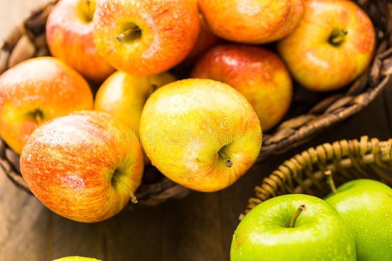Organic apples stock photo. Image of basket, golden, autumn - 59473248