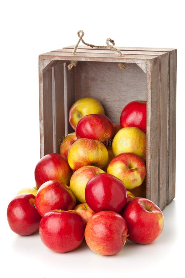 Bushel of Apples stock image. Image of doctor, apples - 6921609