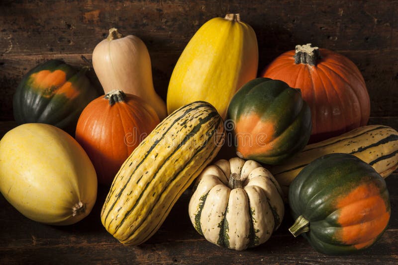 Organic Assorted Autumn Squash Stock Photo - Image of ripe, autumn ...