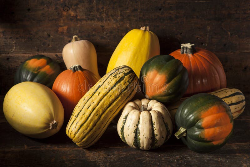 Organic Assorted Autumn Squash Stock Image - Image of yellow, autumn ...