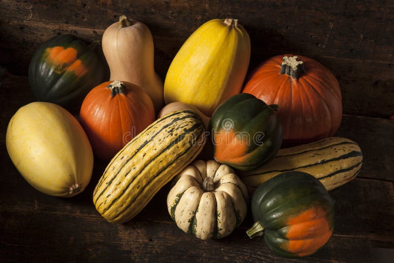 Organic Assorted Autumn Squash Stock Photo - Image of delicious ...