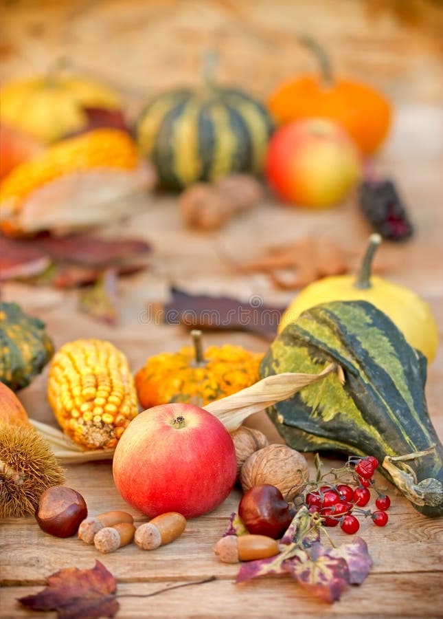 Autumn fruits stock image. Image of organicfood, delicious - 36261465