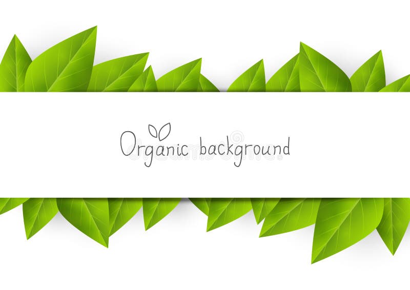 Organic background stock vector. Illustration of abstract - 36903899