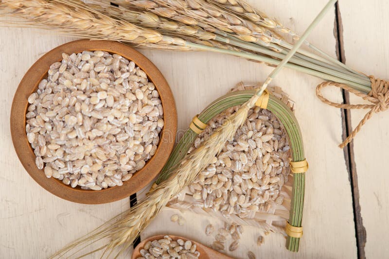 Organic barley grains stock image. Image of rustic, organic - 70737703