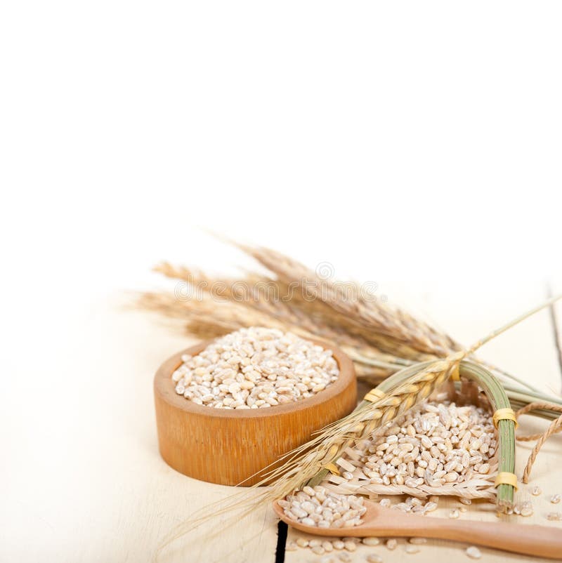 Organic barley grains stock image. Image of seed, rural - 73549905