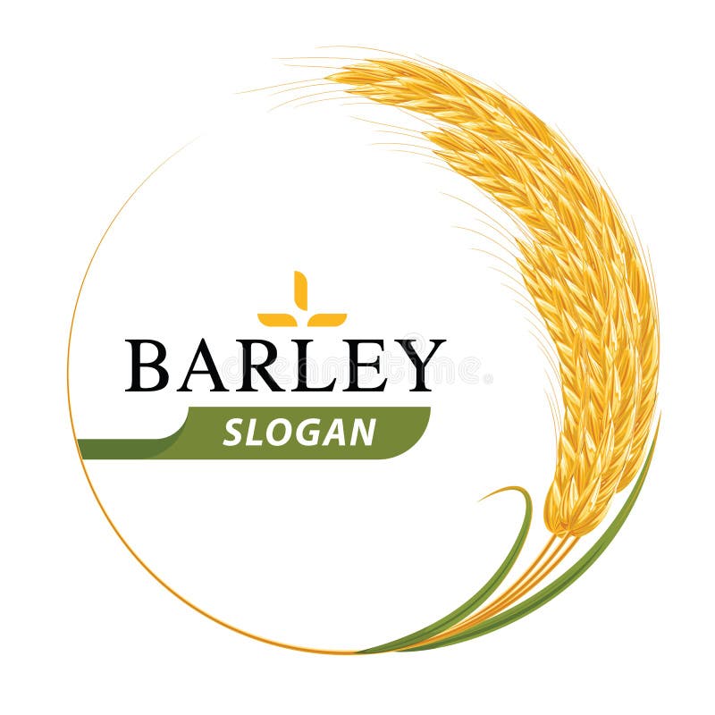 Barley Logo Stock Illustrations – 11,694 Barley Logo Stock ...