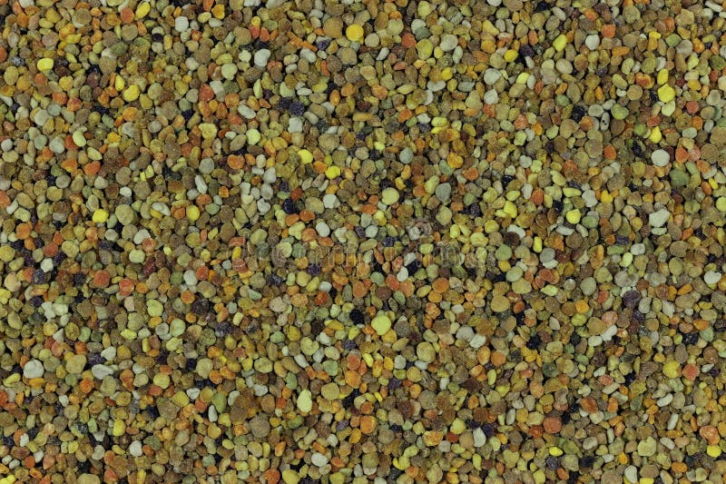 Bee pollen stock image. Image of flower, acids, proteins - 269528113