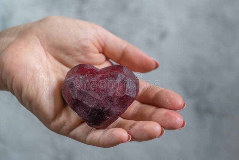 Beet heart in a hand stock photo. Image of organic, nature - 153583460