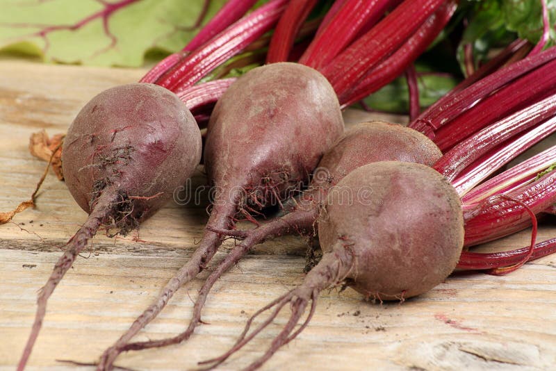 Organic beetroot stock image. Image of bundle, leaf, ingredient - 32467377