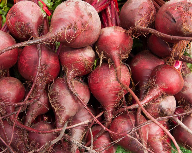 Organic Beets stock photo. Image of root, delicious, beets - 13856318