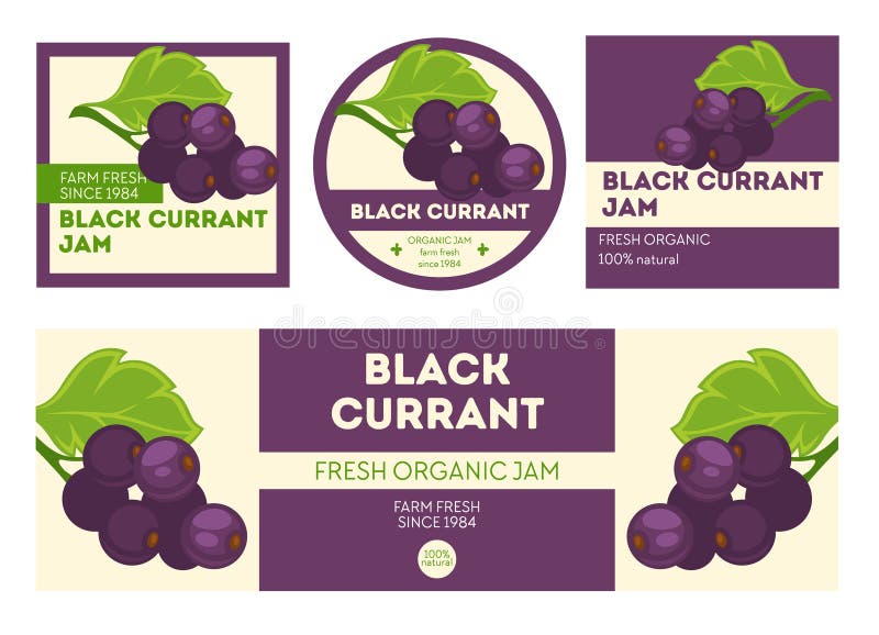 Organic Black Currant Jam Label Stock Illustration - Illustration of ...