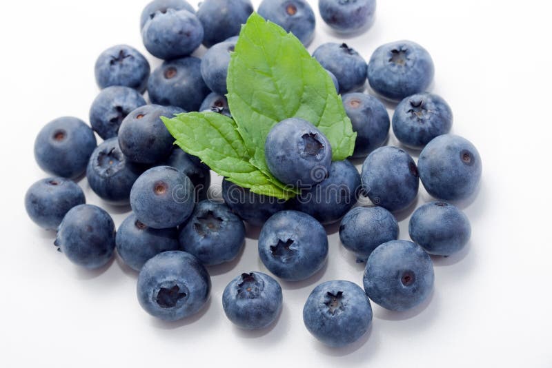 Organic blueberries stock image. Image of fresh, isolated - 13085523