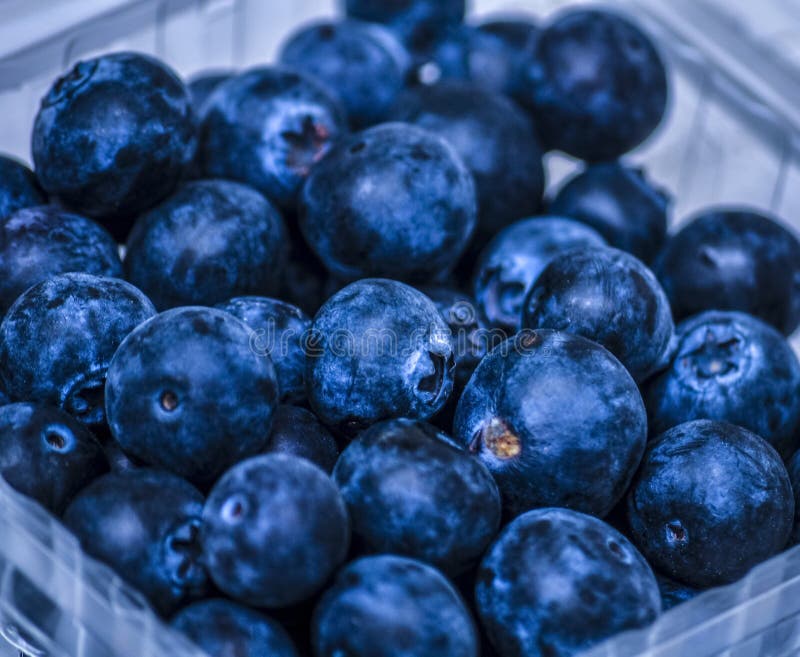 Organic Blueberry Fresh stock photo. Image of heap, freshness - 131534036