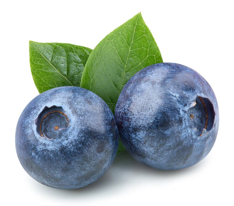 Organic Blueberry Isolated on White Background Stock Image - Image of ...