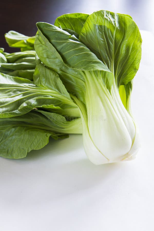 Shanghai Bok Choy stock photo. Image of vegetable, asian - 4101324