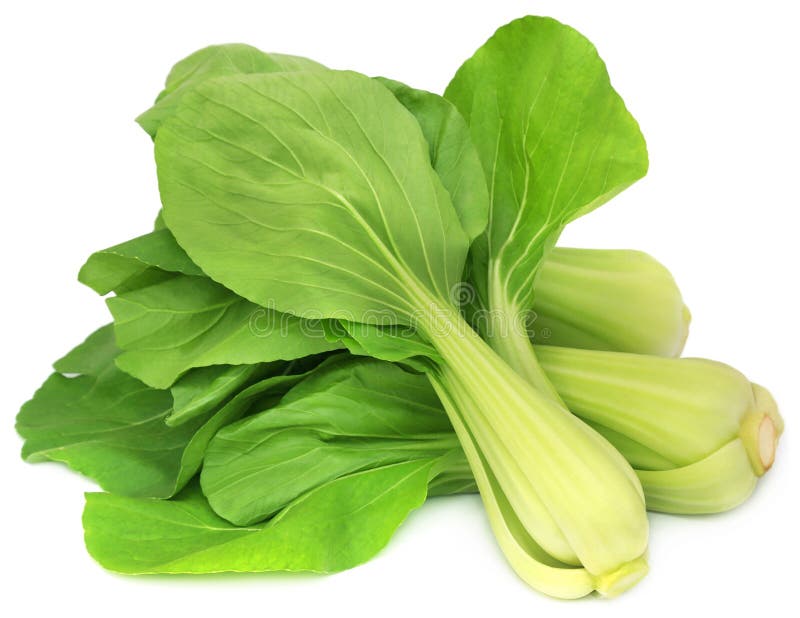 Organic Bok Choy stock photo. Image of appetizer, farm - 83732562