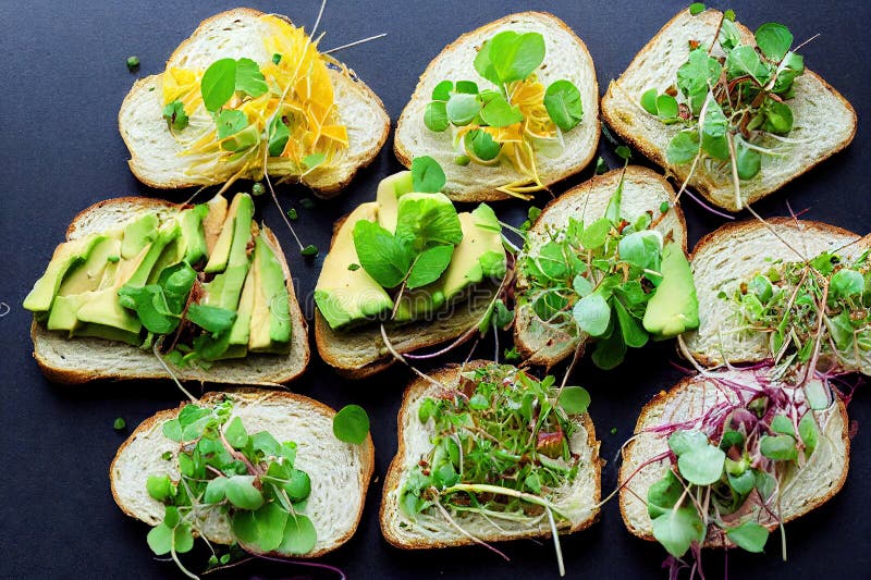 Organic Breakfast Food in Form of Toast with Avocado and Microgreens ...