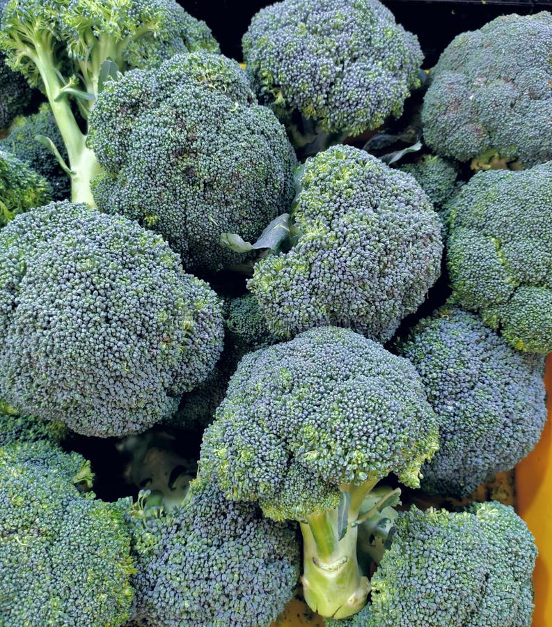 Organic Broccoli stock image. Image of market, background - 261425971