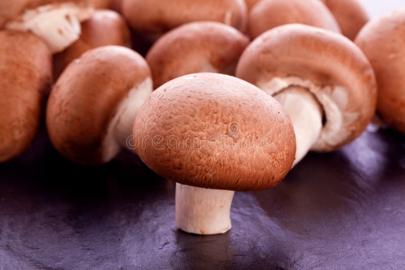 Organic Brown Champignon Mushrooms Stock Image - Image of brown ...