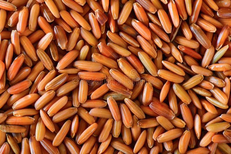 Brown rice background stock photo. Image of vegetarian - 94154894