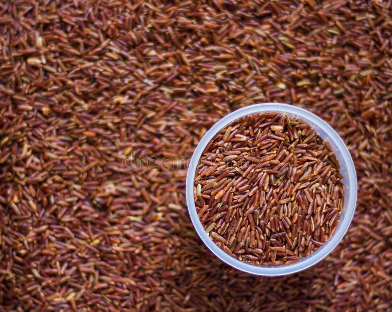 Organic Brown Rice stock image. Image of ingredient, health - 55638393