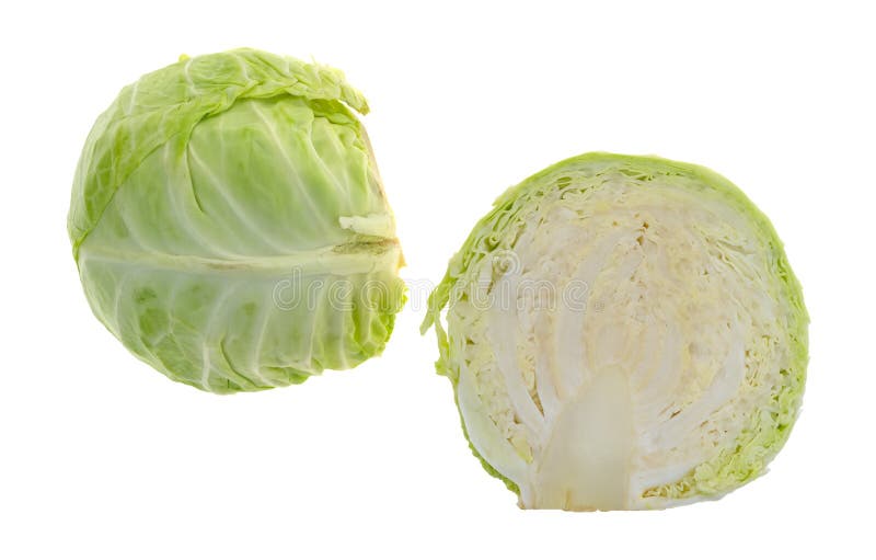 Red cabbage cut in half stock photo. Image of cabbage - 14343638
