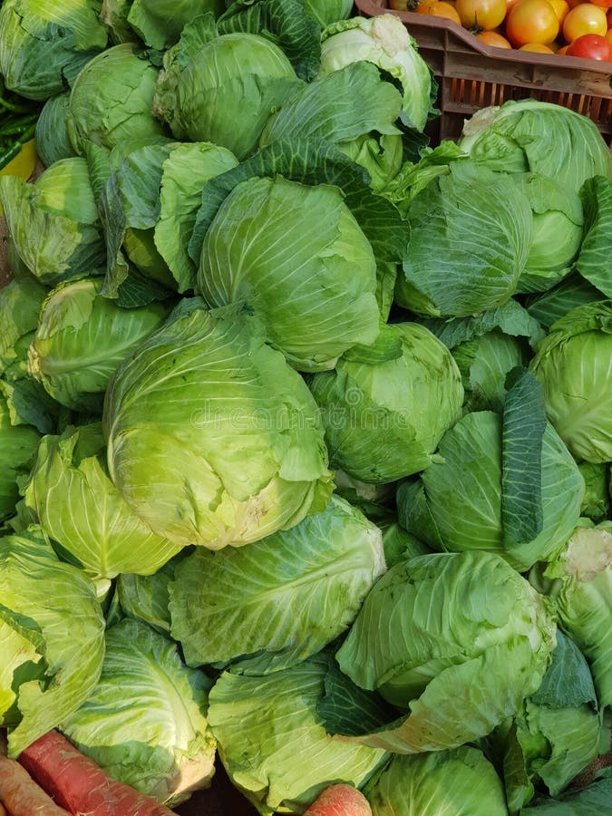 Organic Cabbage in Vegetable Market Stock Image - Image of garden, leaf ...