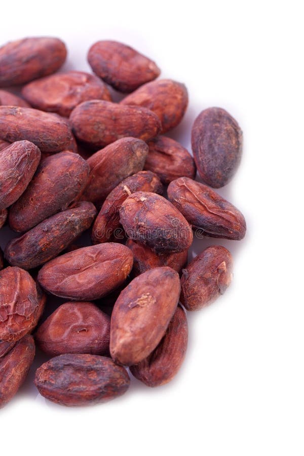 Cacoa bean stock image. Image of seed, farm, plantation - 94068595