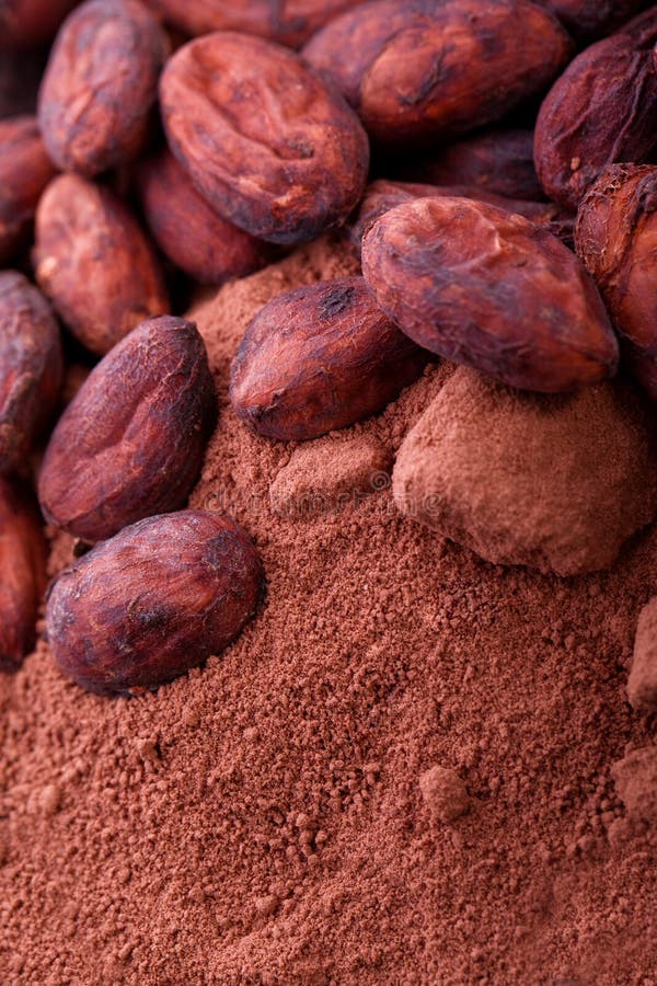 Cacoa bean stock image. Image of seed, farm, plantation - 94068595