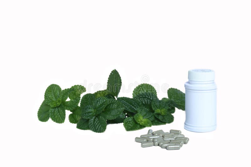 Organic Capsule with Mint Leaves Stock Photo - Image of healthcare ...