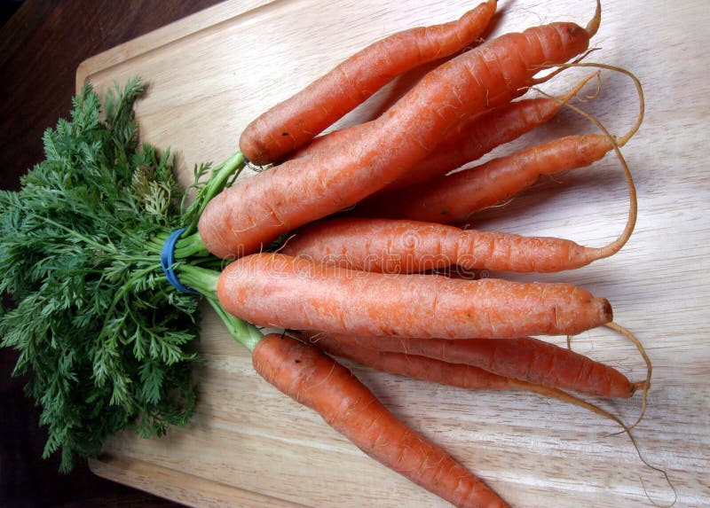 Organic Carrots stock image. Image of bunch, healthy, scrubbed - 83635