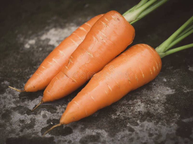 Organic carrots stock photo. Image of plant, natural - 85663558