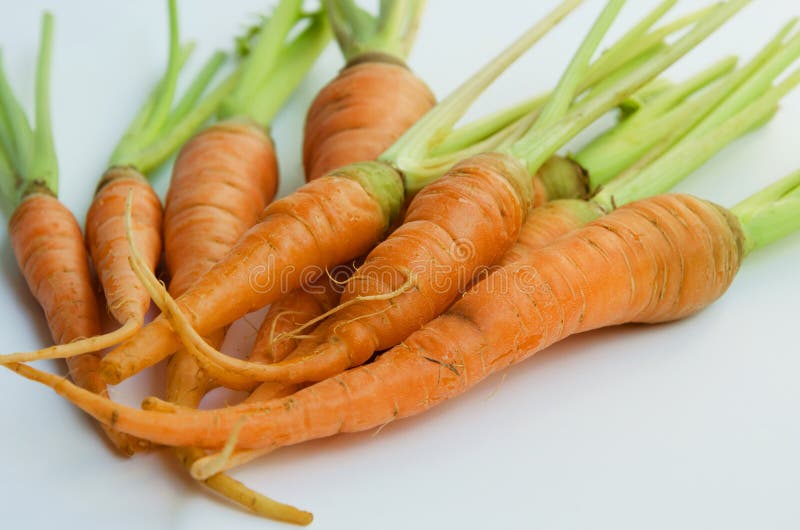 Organic Carrots for Cooking. Stock Photo - Image of fresh, white: 63976580