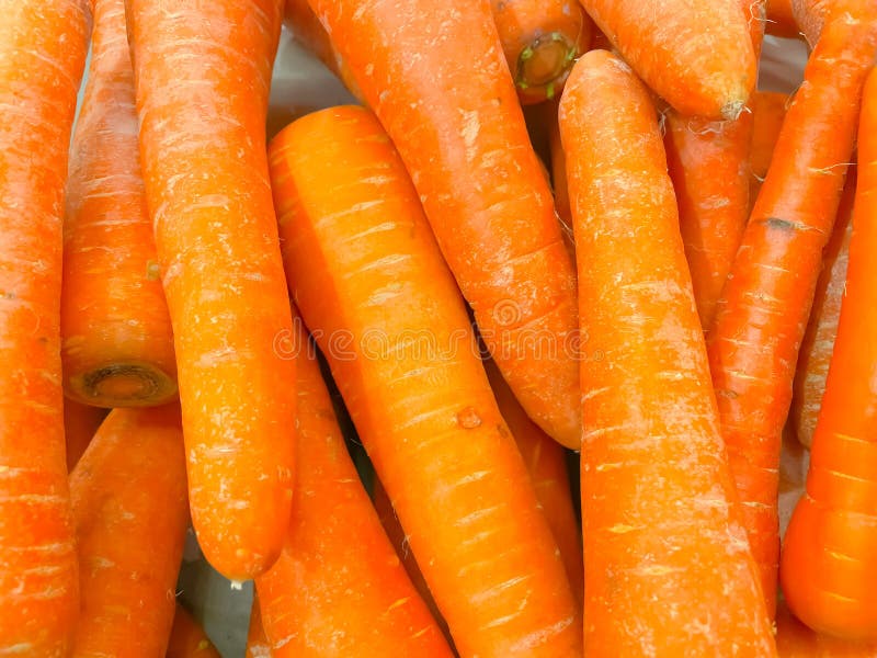 Organic Carrots stock photo. Image of vitamin, nature - 269075030