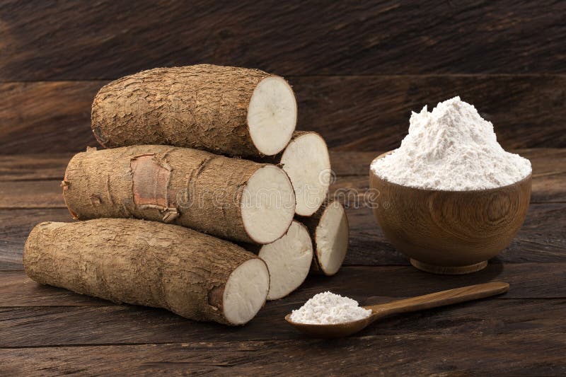 Organic Cassava Root Starch - Manihot Esculenta Stock Image - Image of ...