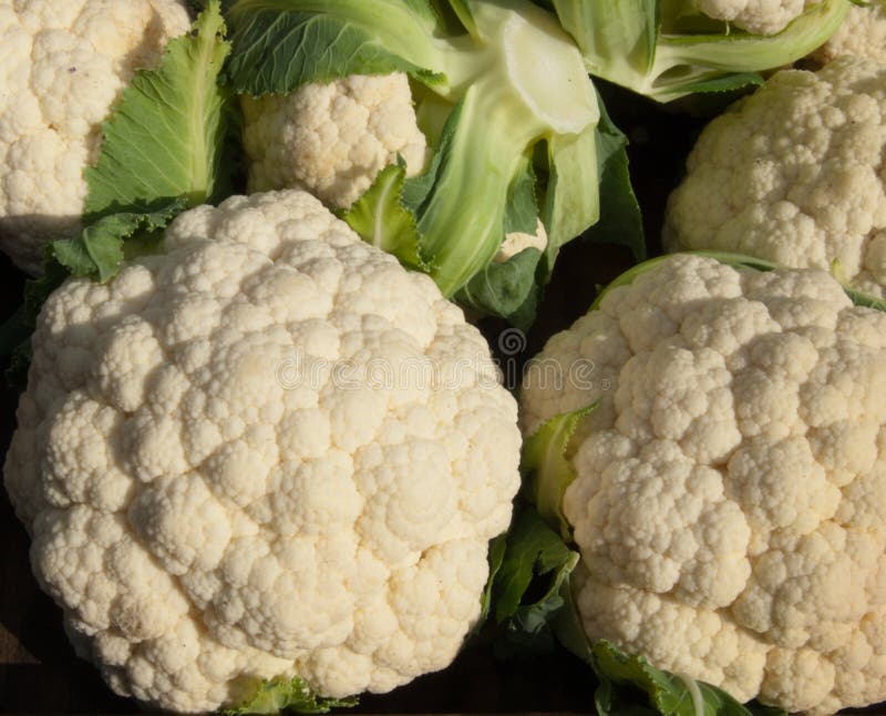 Organic Cauliflower stock image. Image of ingredient - 13566775