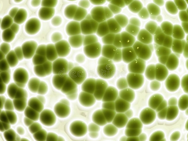 Organic Cell Structure Seamless Pattern Stock Vector - Illustration of ...