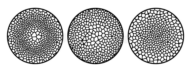 Organic Cells Radial Pattern Set. Vector Grid Mesh Elements for Design ...