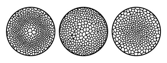 Organic Cells Radial Pattern Set. Vector Grid Mesh Elements for Design ...