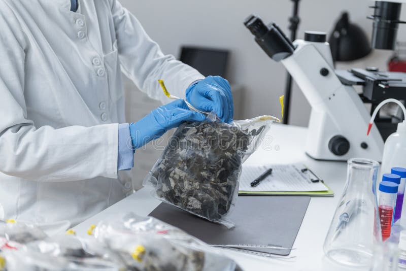 Organic Certification Process in Laboratory Stock Photo - Image of ...