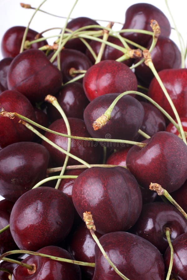Cherries stock image. Image of succulent, healthy, eating - 5721317