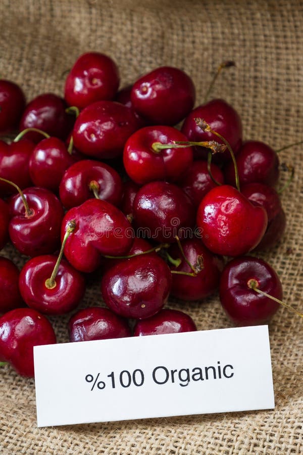 Organic cherries stock photo. Image of natural, burlap - 48148722