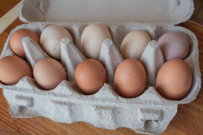 Organic Chicken Eggs from the Farm. Homemade Eggs Stock Image - Image ...