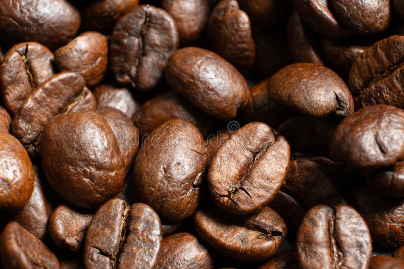 Organic Coffee Beans Detailed Texture Close Up Stock Image - Image of ...