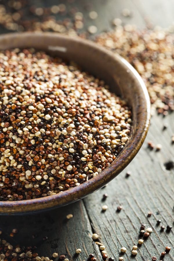 Organic Colorful Raw Quinoa Stock Image - Image of quinua, diet: 39849851